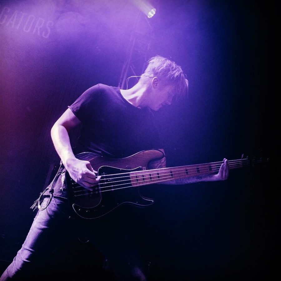 Artist Overview - Sandberg Guitars