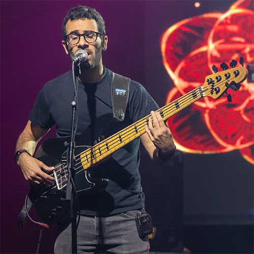 Artist Overview - Sandberg Guitars