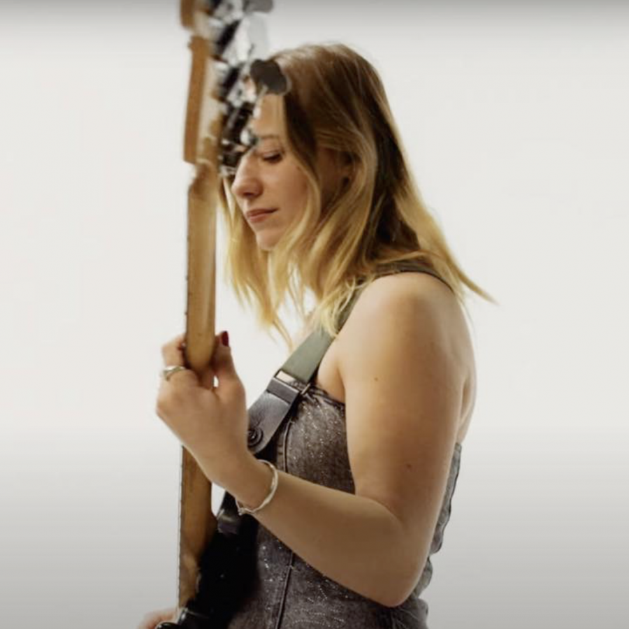 Artist Overview - Sandberg Guitars