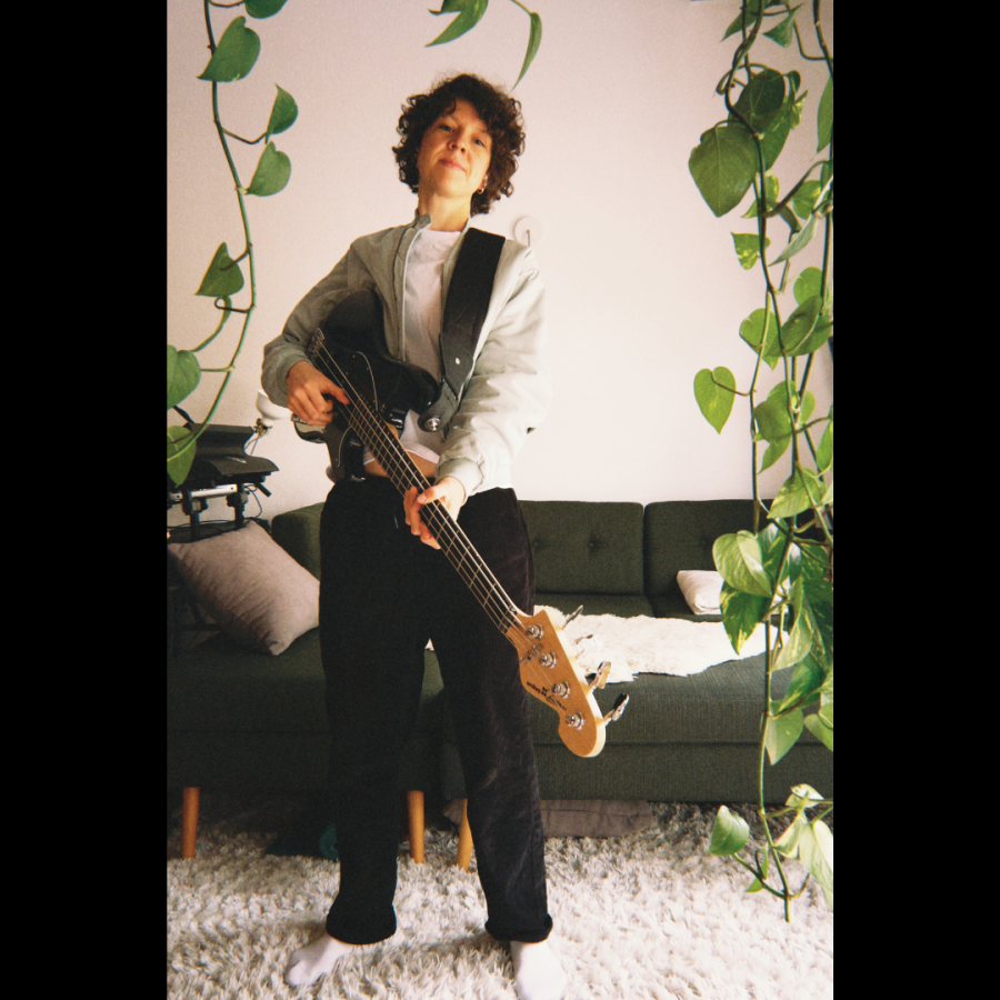 Artist Overview - Sandberg Guitars